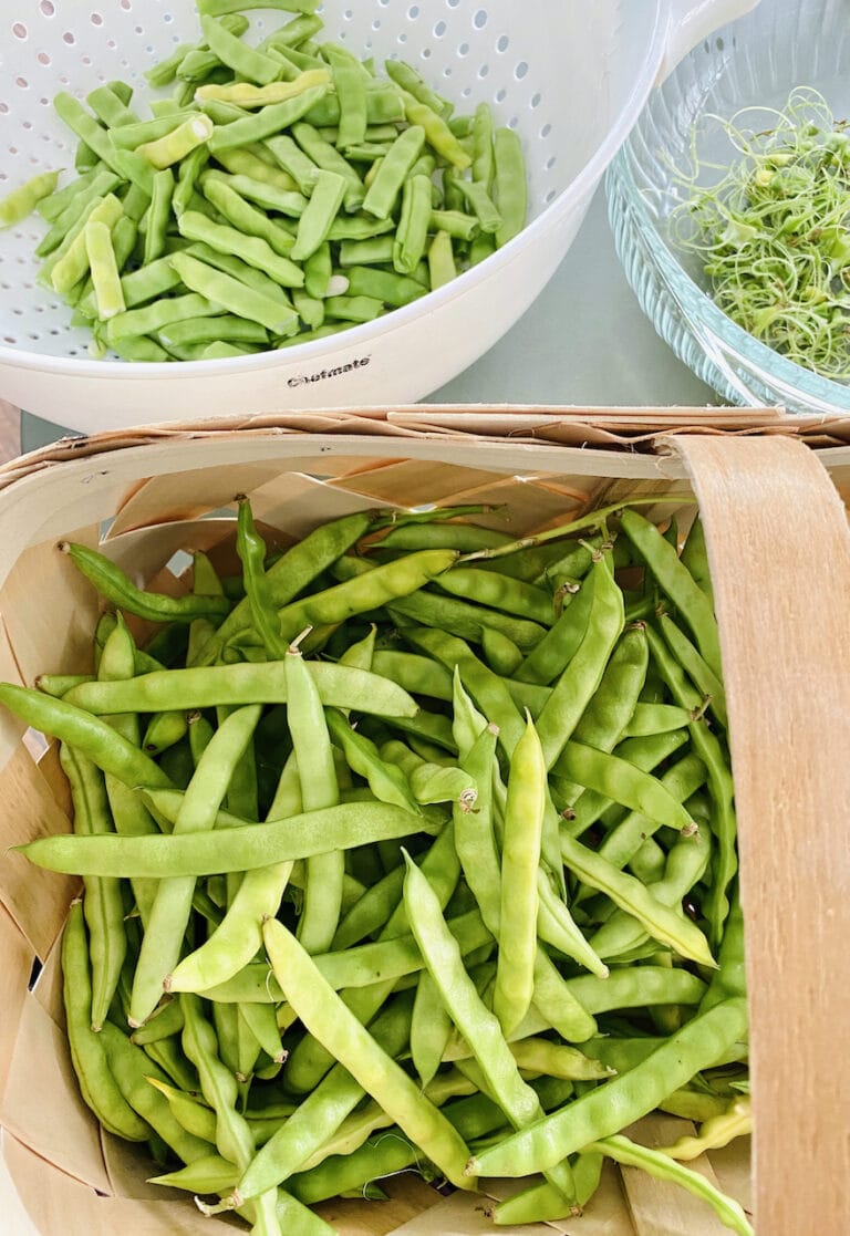 Greasy Cut Short Beans - Quiche My Grits